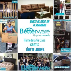 Betterware de México → Para Mantener un Hogar en Armonía.